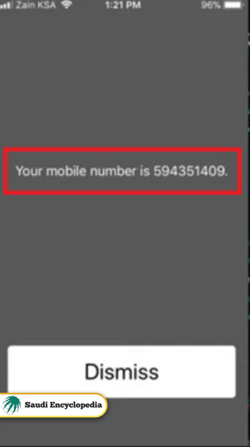 How to Check Zain Number? - Saudi Encyclopedia